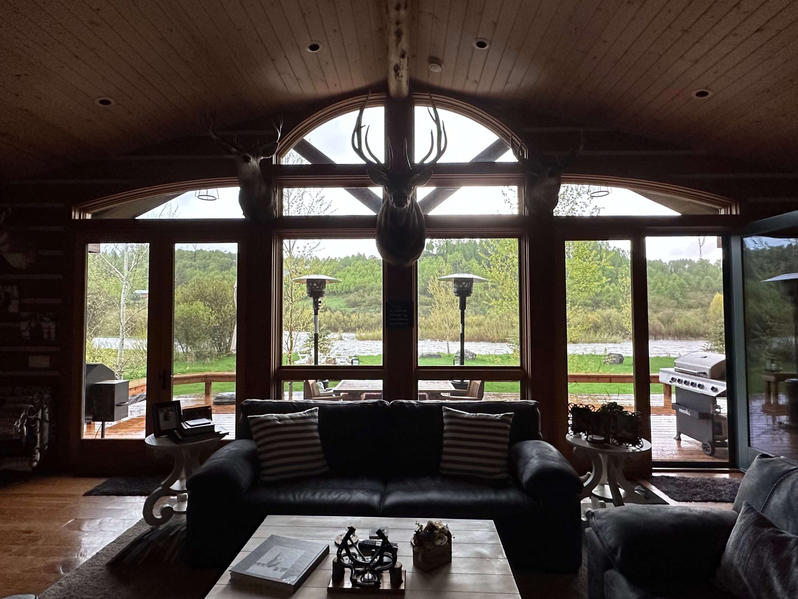 Mobile Window Tint | Elevated Window Tinting